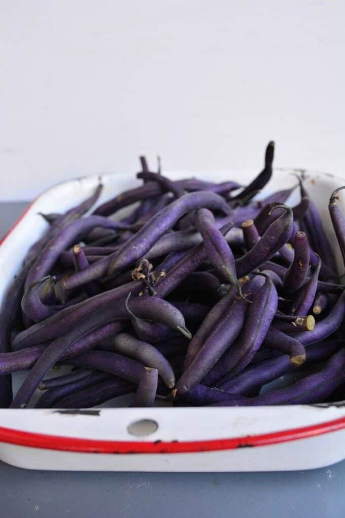 Quick and Easy Purple Green Beans Recipe - I Heart Vegetables