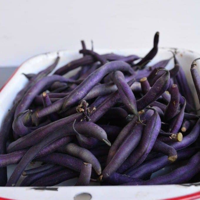Quick and Easy Purple Green Beans Recipe - I Heart Vegetables