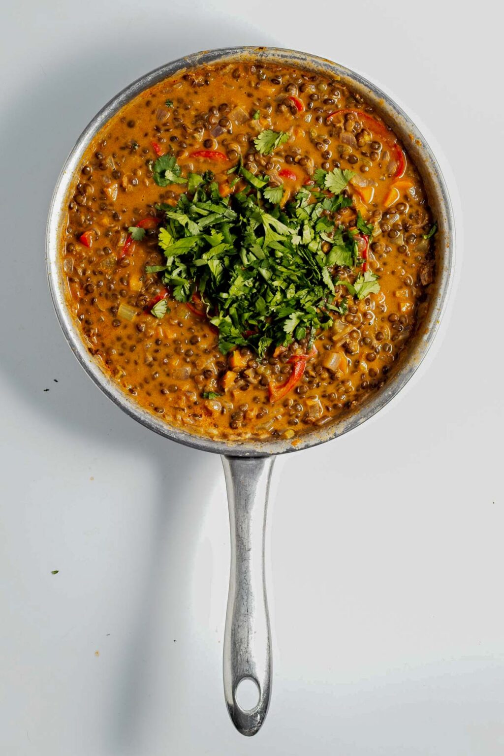 Red Curry Lentils - I Heart Vegetables