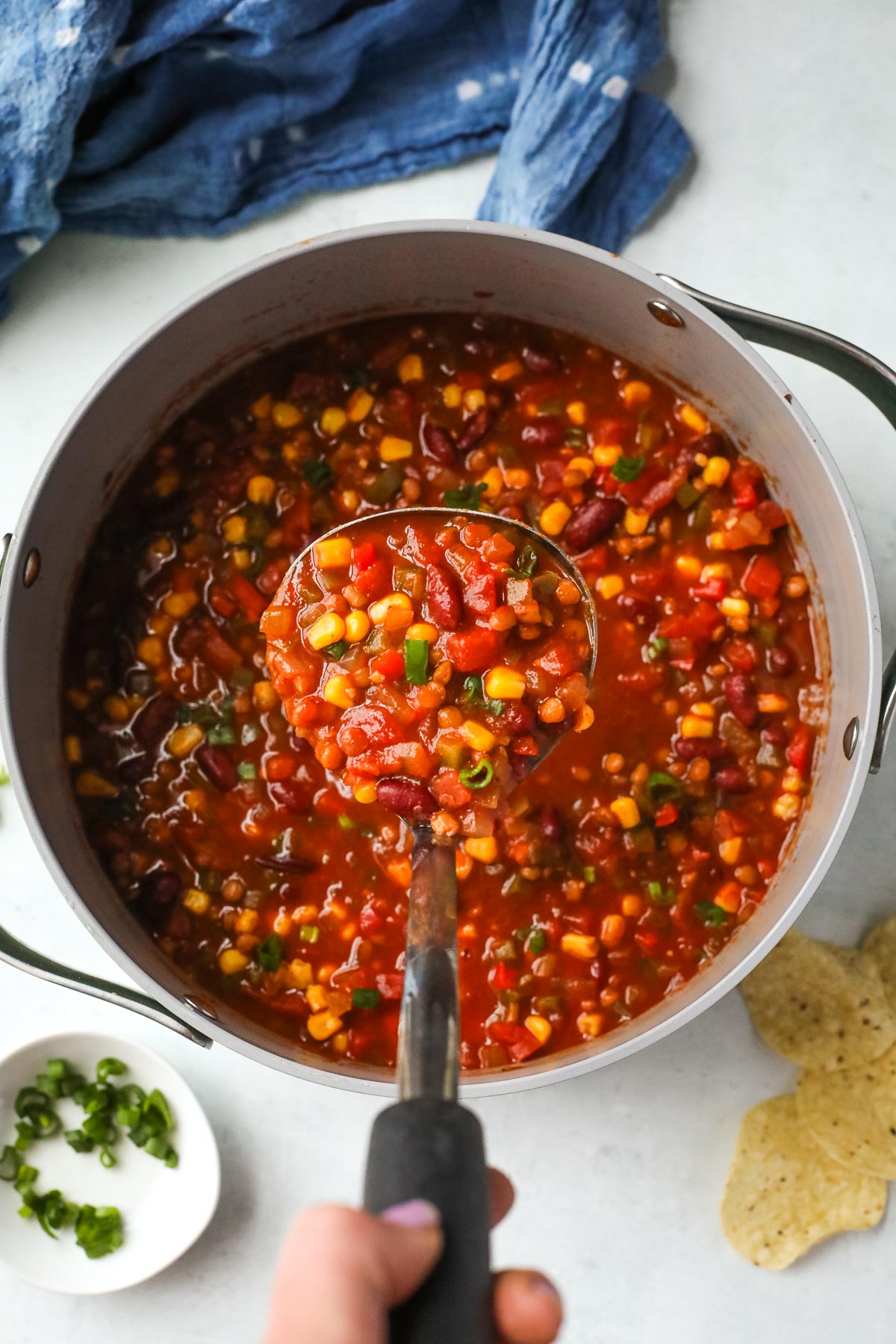 23 Easy Lentil Recipes Packed With Plant Protein - I Heart Vegetables